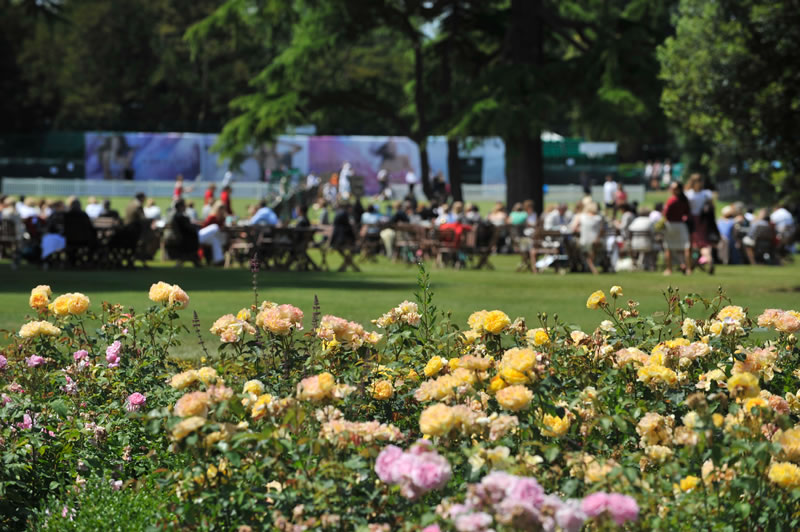Photos | The Boodles Tennis | 25th June - 29th 2024 | Book Your 2024 ...